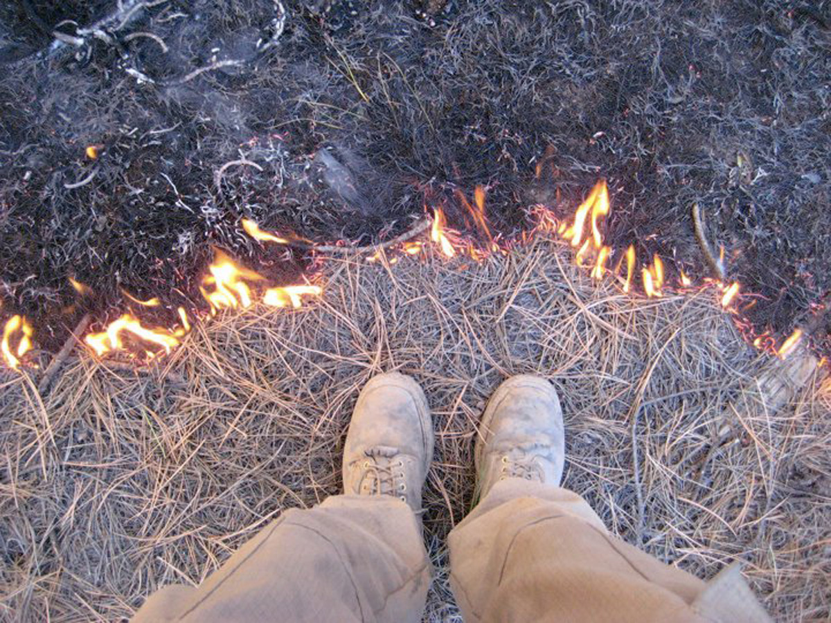 Co-Existing: Fire Shaping The Landscape - Questa News