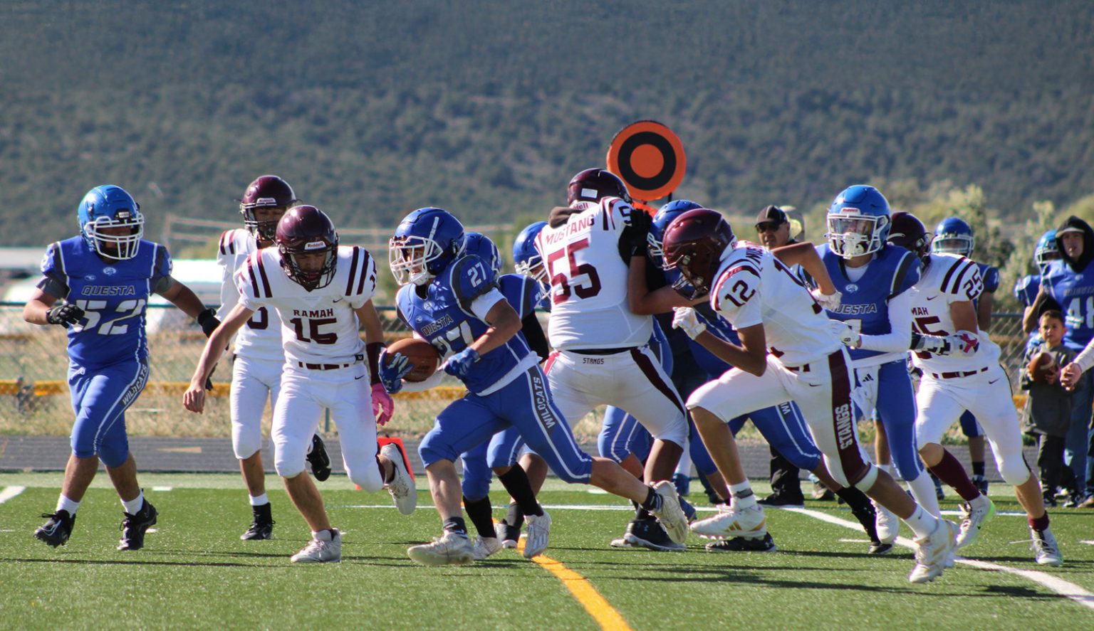 Questa Wildcats - Questa News
